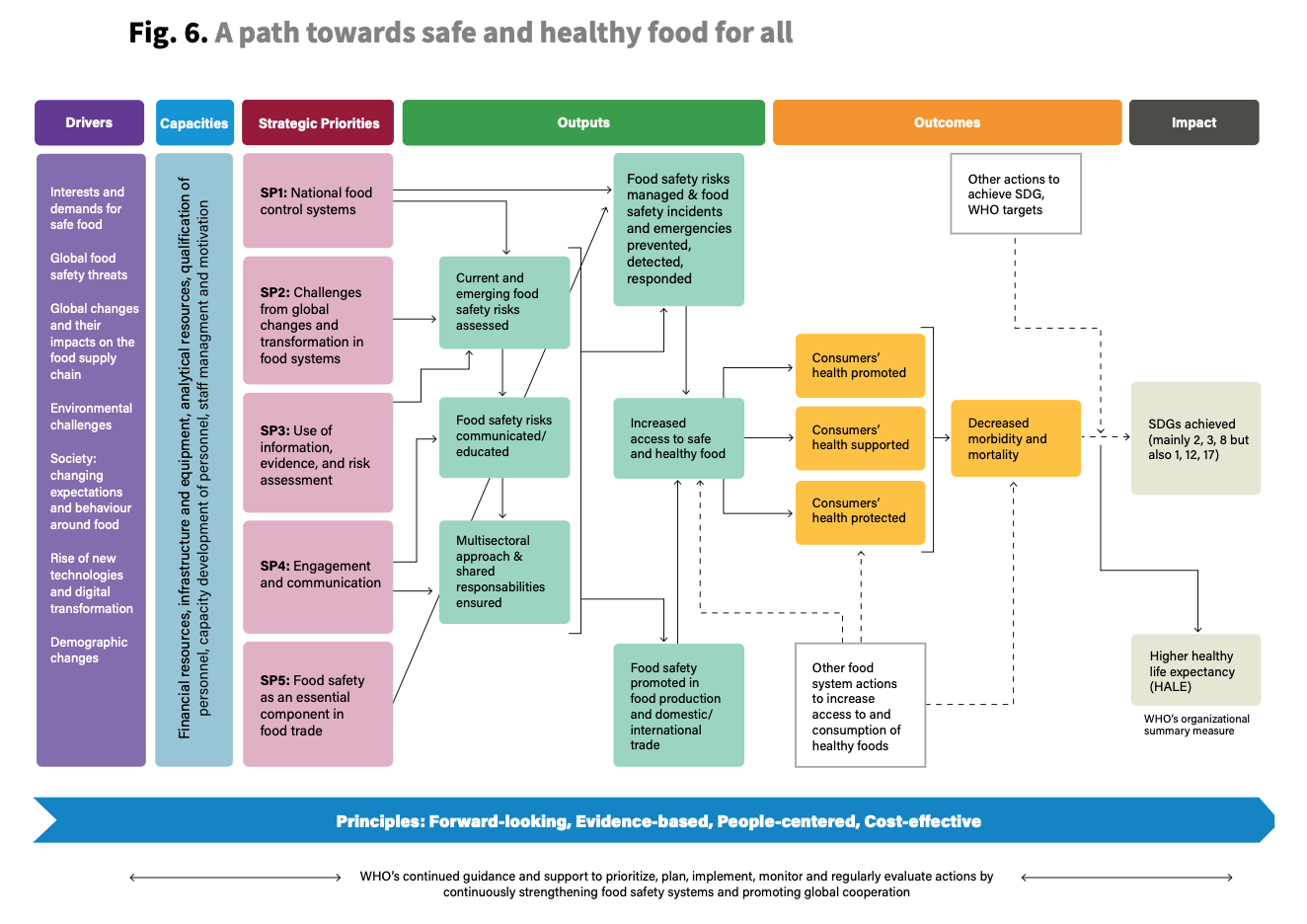 WHO Global Strategy for Food Safety 2022-2030 | december 2025 Update
